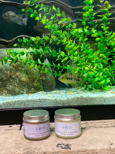 E-Ko Sea Kelp & Walnut Shell Body Buff – E-Ko Beach Life